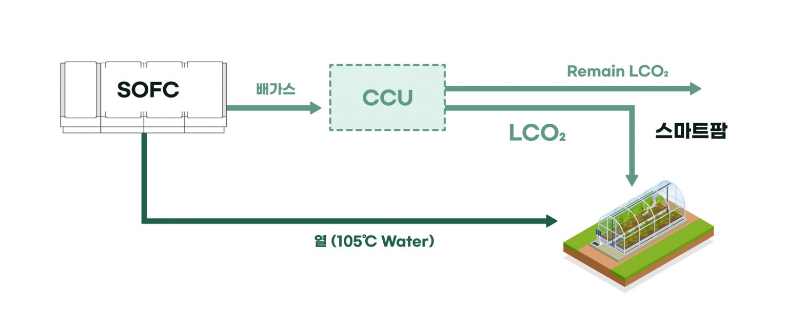 지구온난화 주범, 이산화탄소를 잡다! CCUS와 스마트팜 | SK에코플랜트 뉴스룸